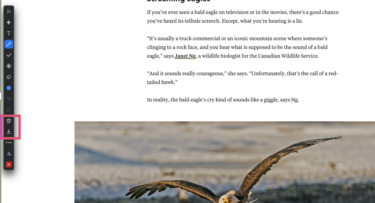 How To Annotate On Zoom: Tips For Interactive Meetings | ClassPoint